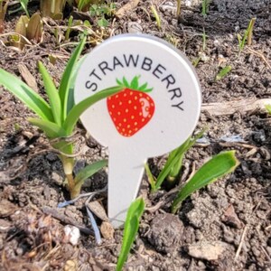 Garden Supplies New Indoor and Outdoor Gardening Tools Kit, Stickers ...