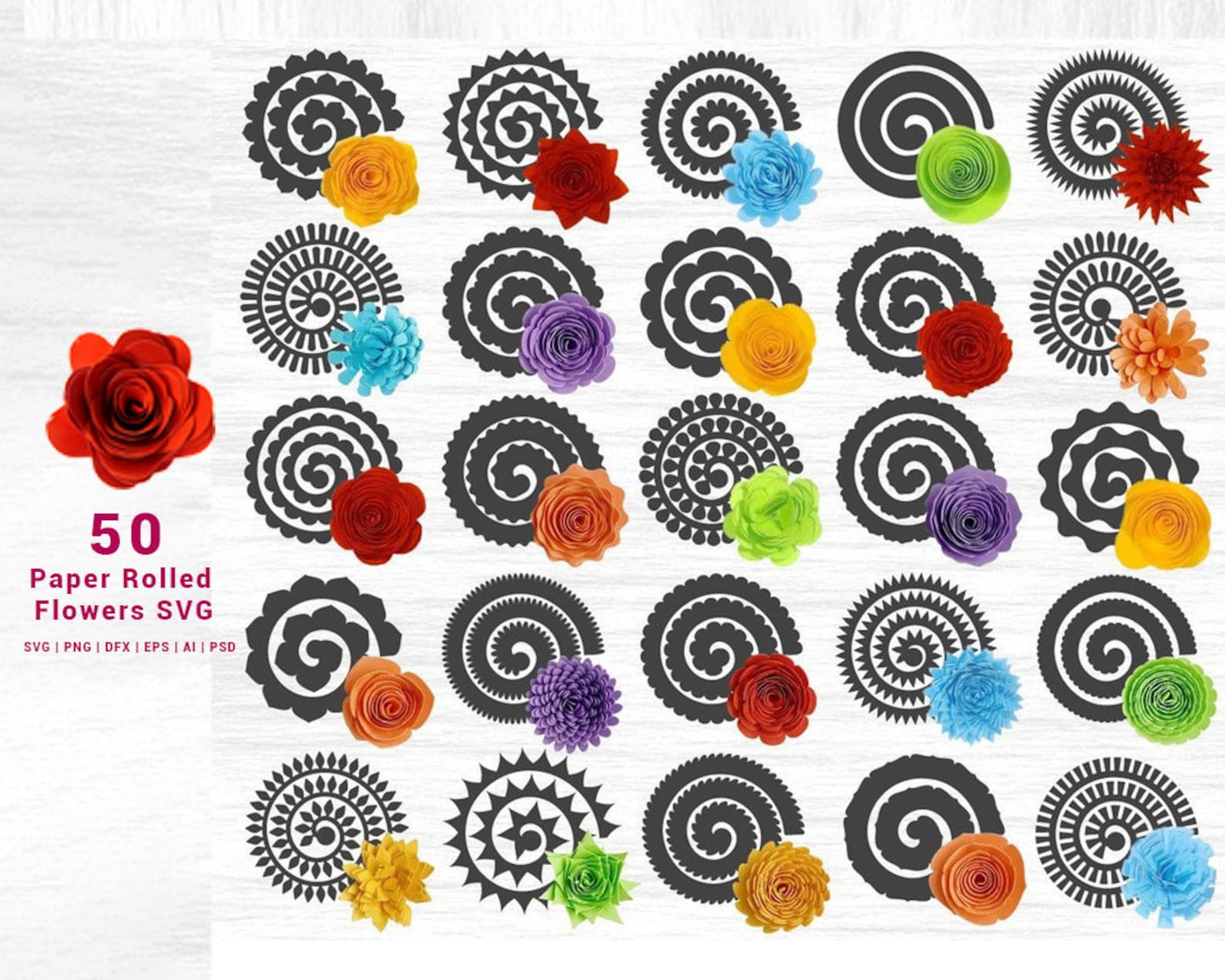 Flor enrollada Svg Flor de papel Svg Flor Svg Clipart de - Etsy México