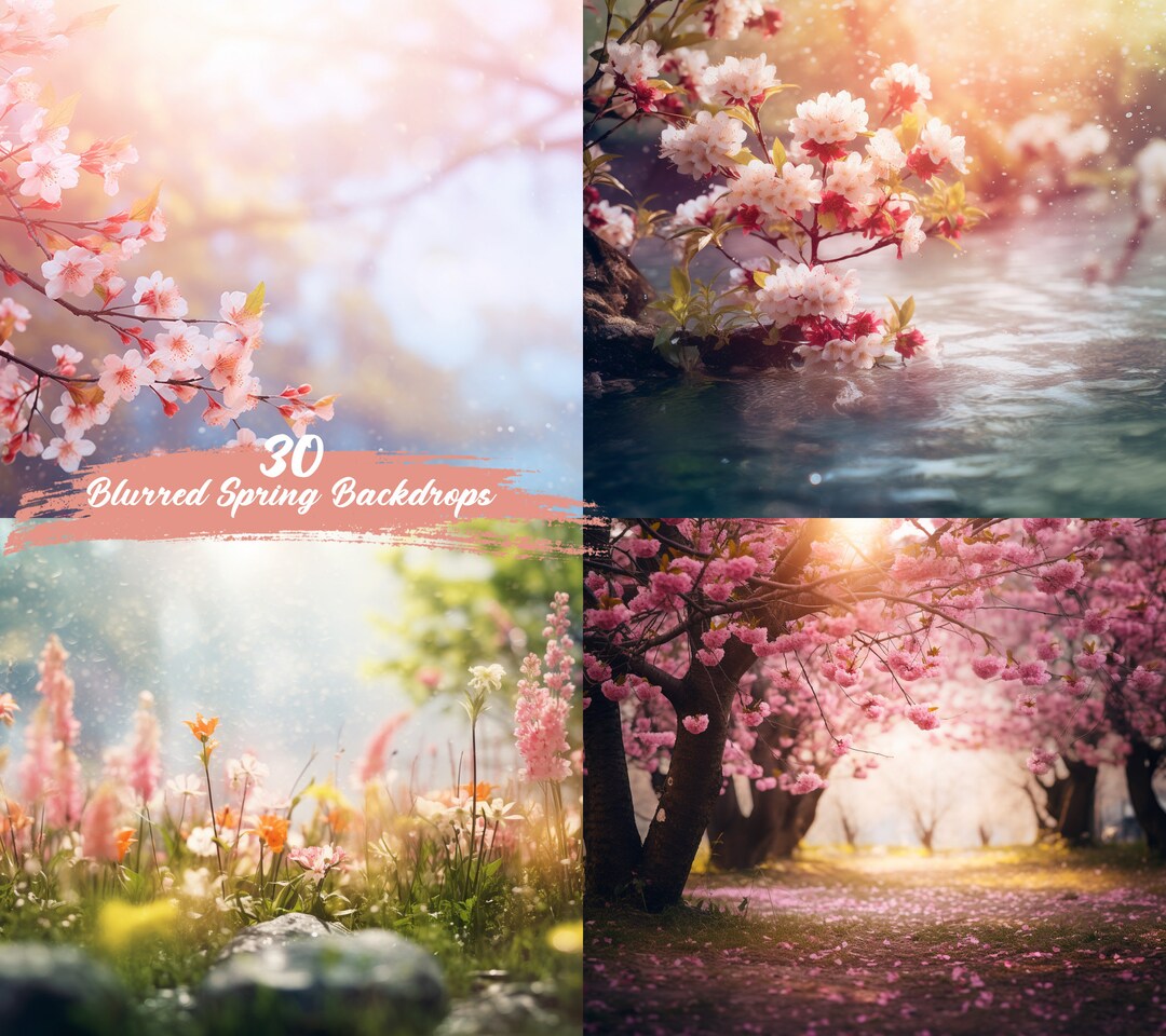 Blurred Spring Backdrops, Spring's Flower Soft Focus, Digital Portrait ...