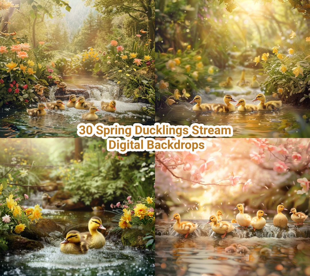 Spring Duckling Stream Digital Backdrop, Stream Backgrounds, Maternity ...