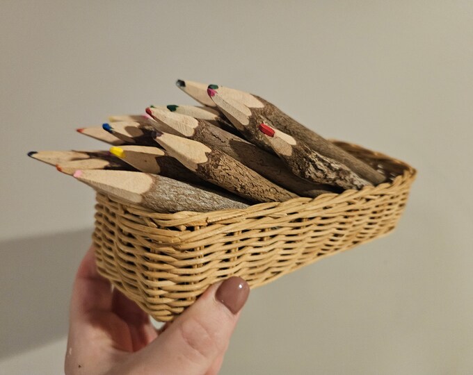 Set of Twenty (2) Beautiful Twig Pencil Crayons - Etsy