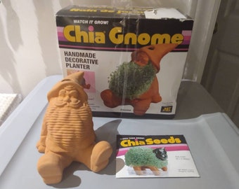 Chia Pet - Etsy