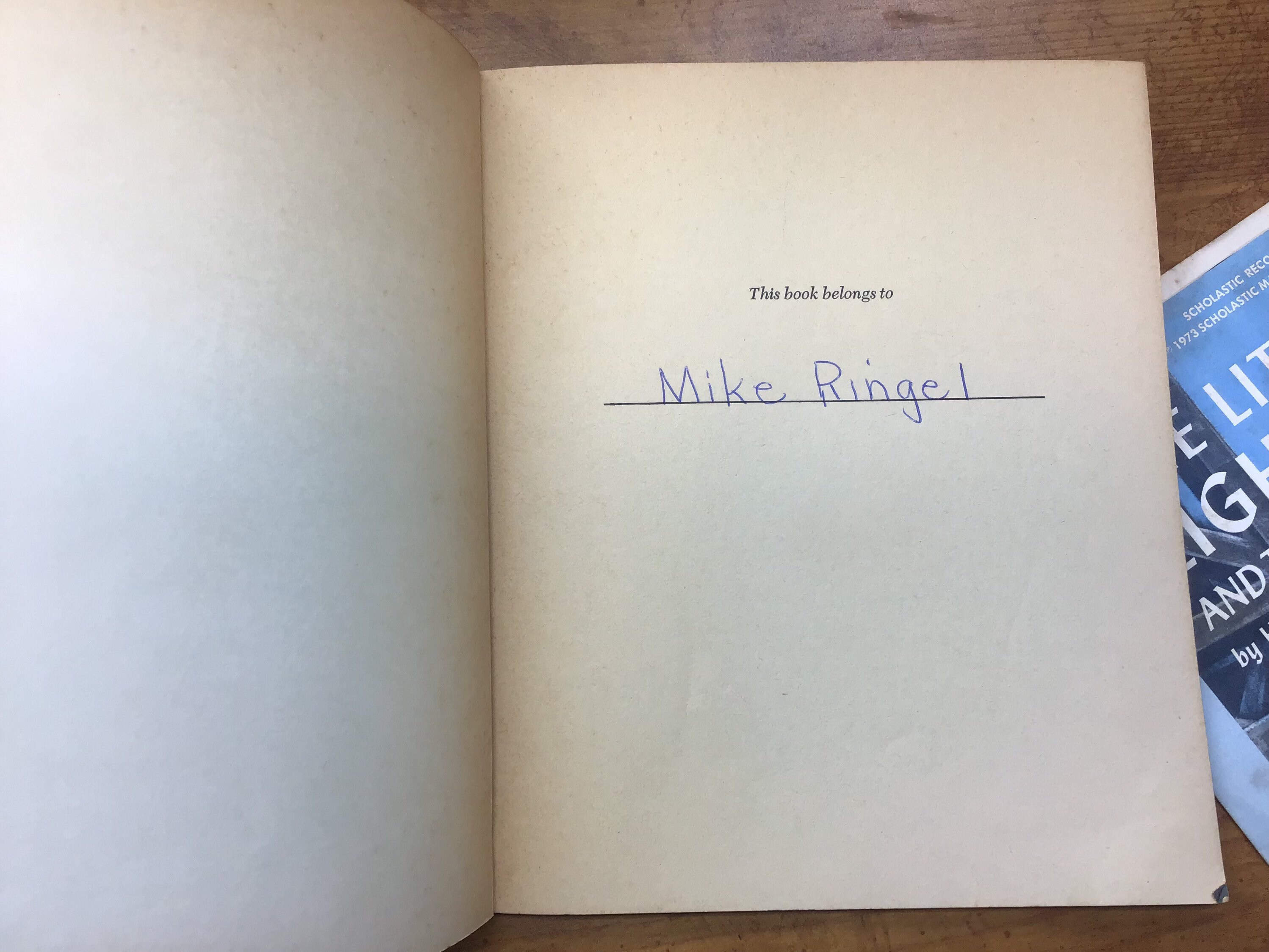 The Little Red Lighthouse & the Great Gray Bridge, 1973 Scholastic ...