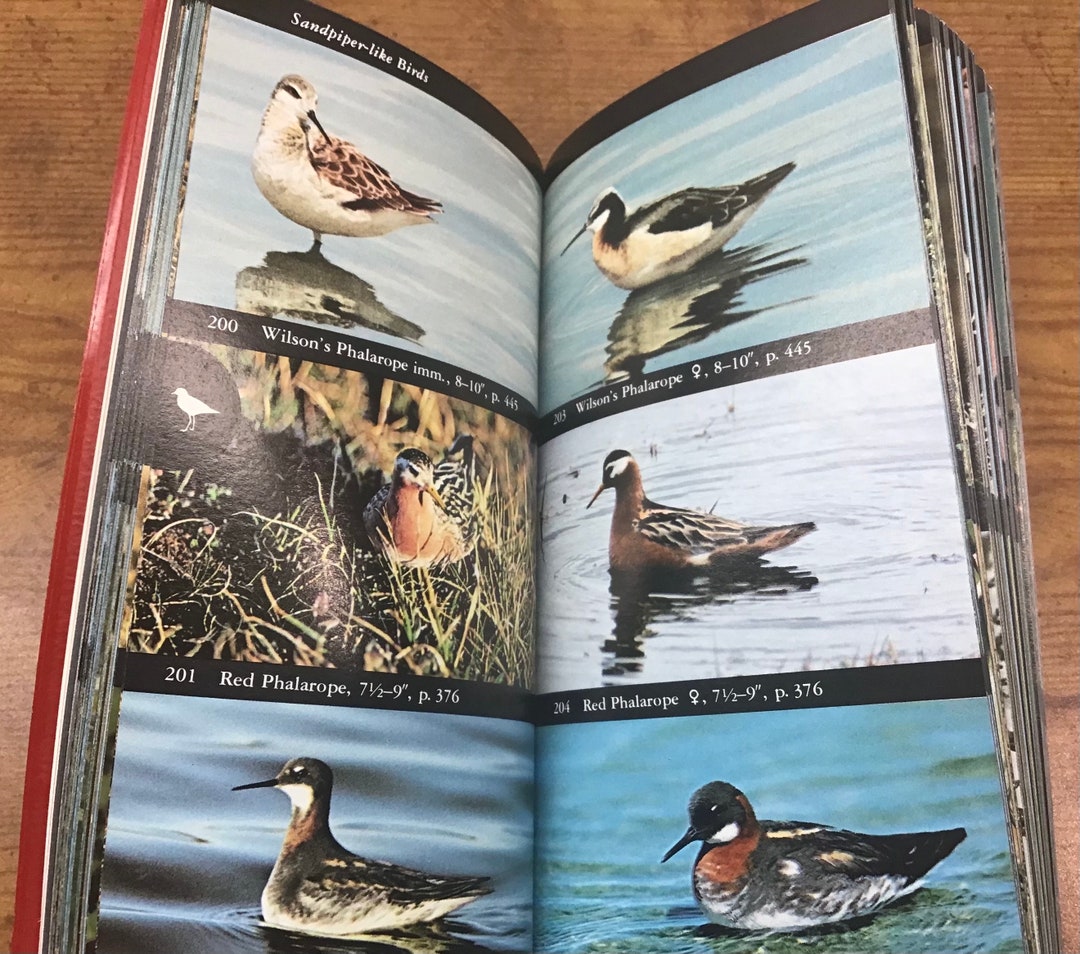 The Audubon Society Field Guide to North American Birds Western Region ...