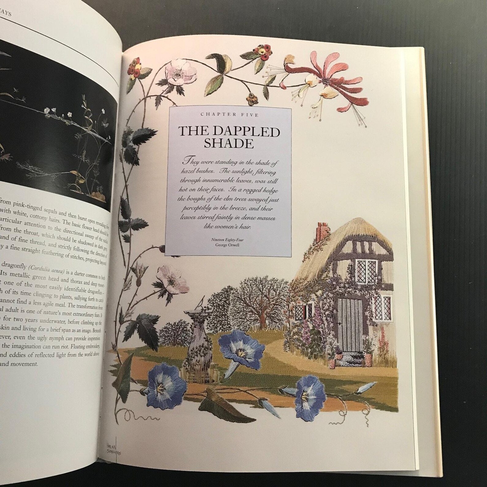 The Embroiderer's Country Album Helen M. Stevens 1994 Illustrated Craft ...