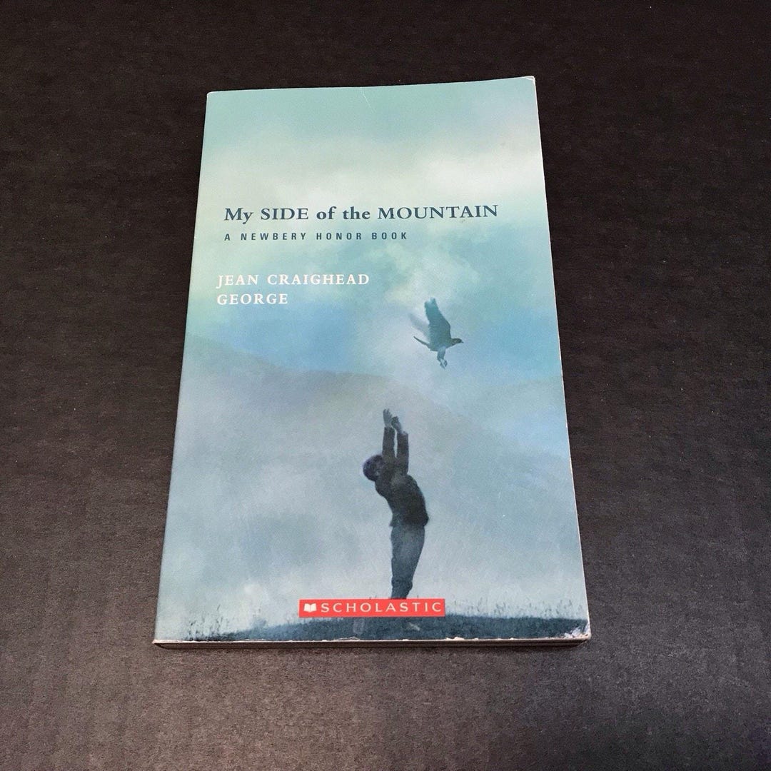 My Side of the Mountain Jean Craighead George Scholastic 1988 Paperback ...