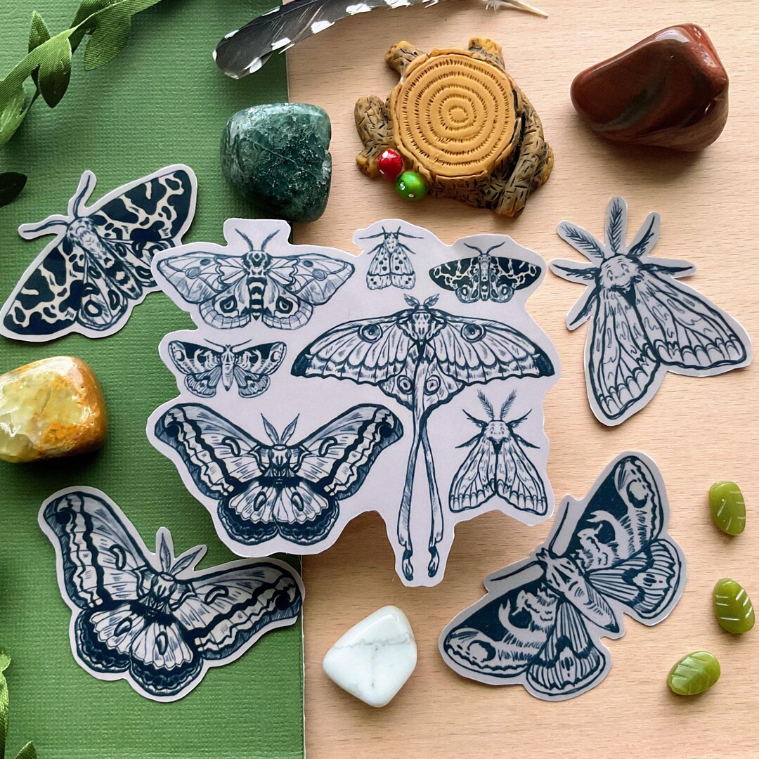 Moth Vinyl Stickers - Etsy