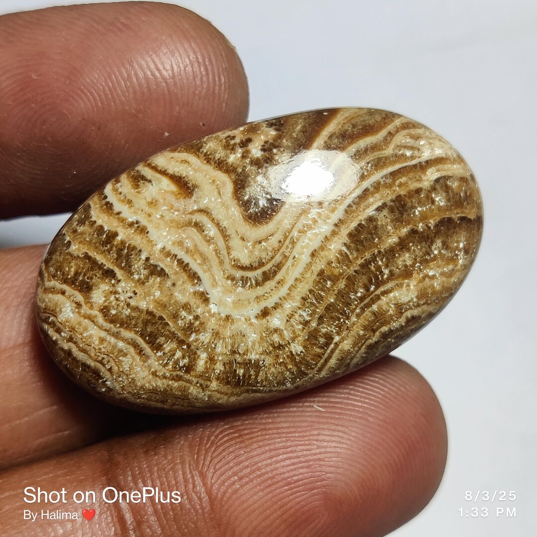Yellow Banded Aragonite Palm Stone, Polished Healing Crystal - Etsy