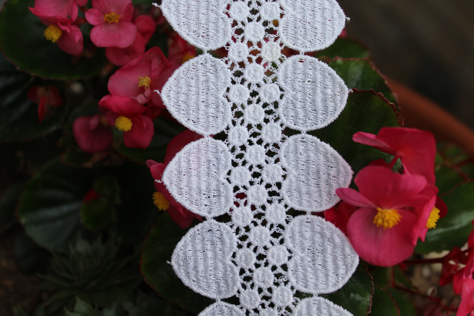 2 1/4 White Double Edge Heart Trim With Lace Like Polka Dots in the ...