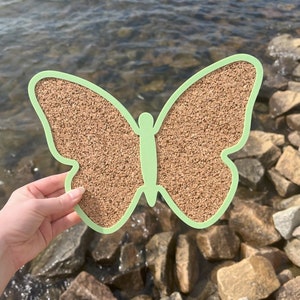 Butterfly Pin Board | Cork Board (multiple Sizes) - Etsy