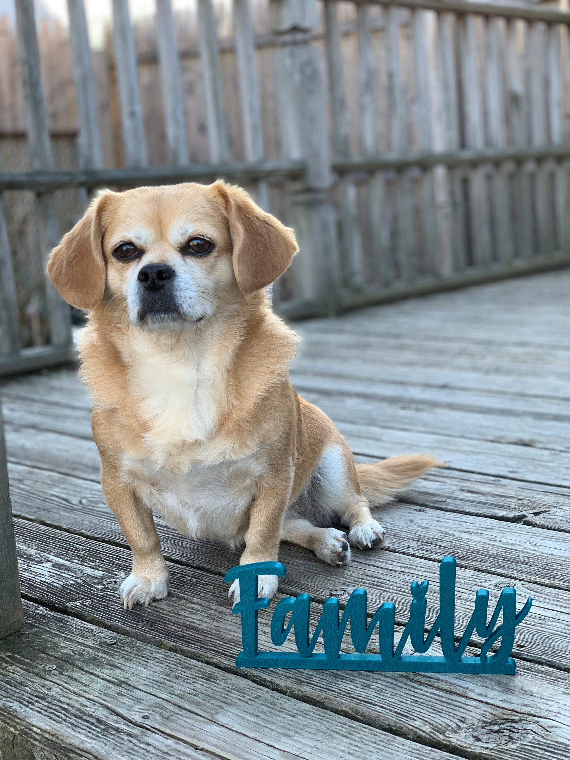 Family Sign Decor Self-standing Family Sign Tabletop Sign | Etsy