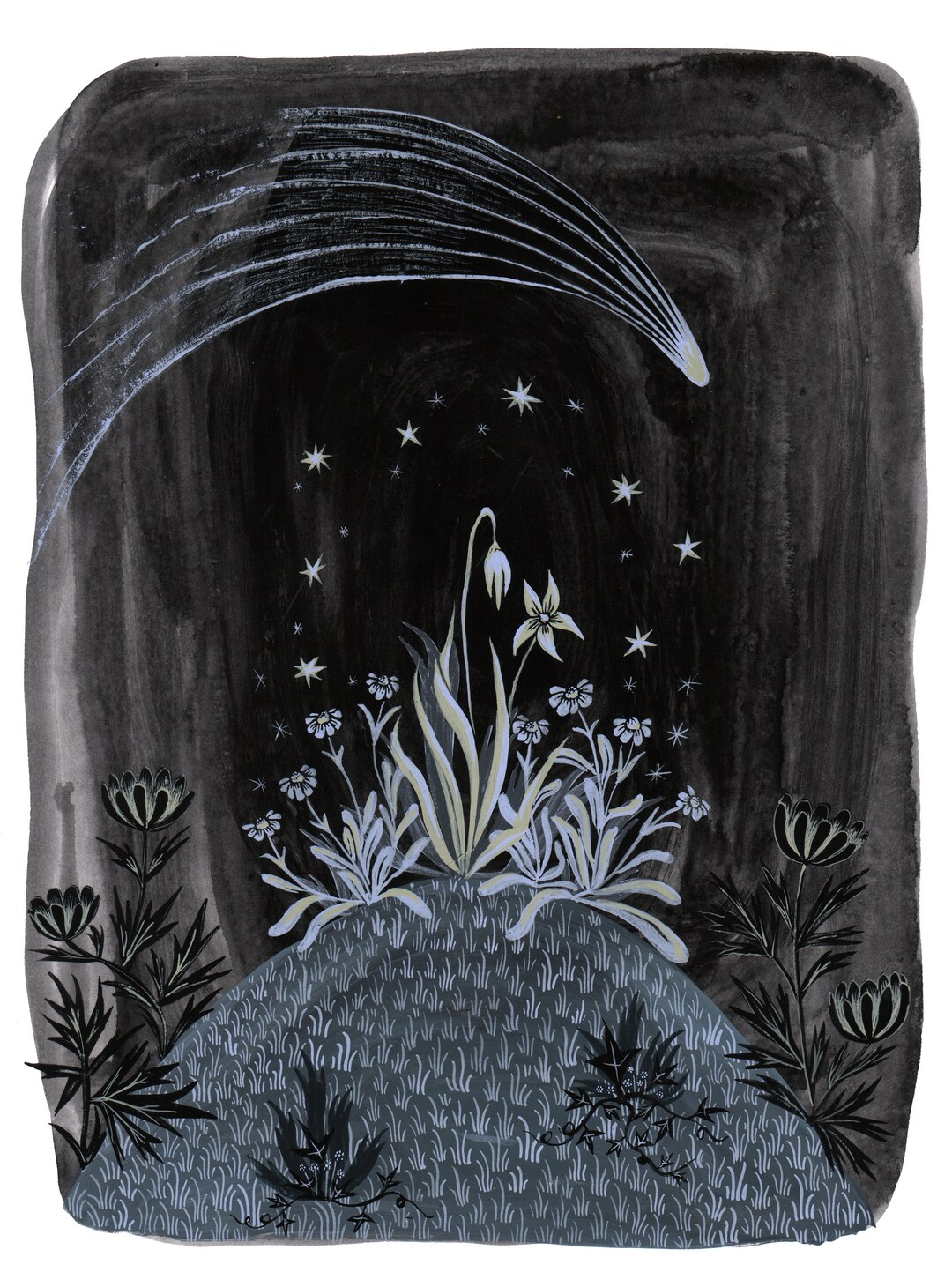 Comet Flower Giclee Print - Etsy