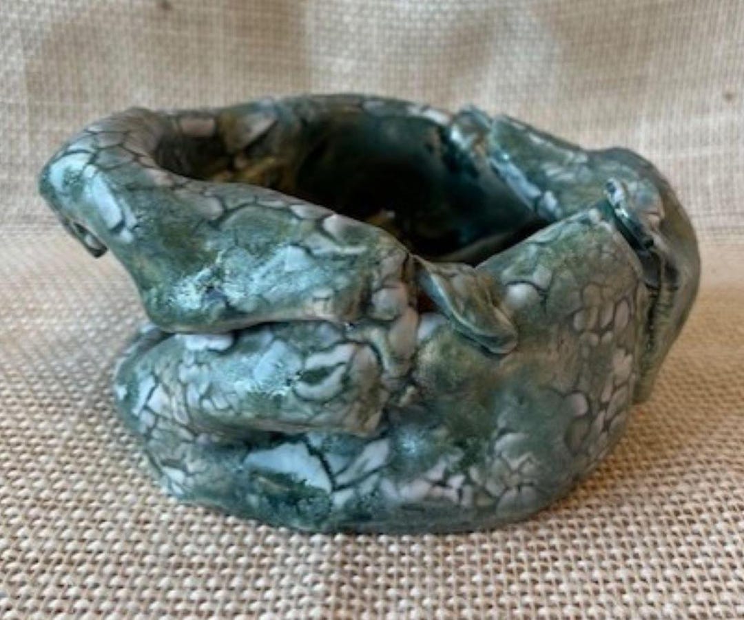 Rustic Handmade Freeform Pot for Cactus, Succulent, Caudex, or Special ...