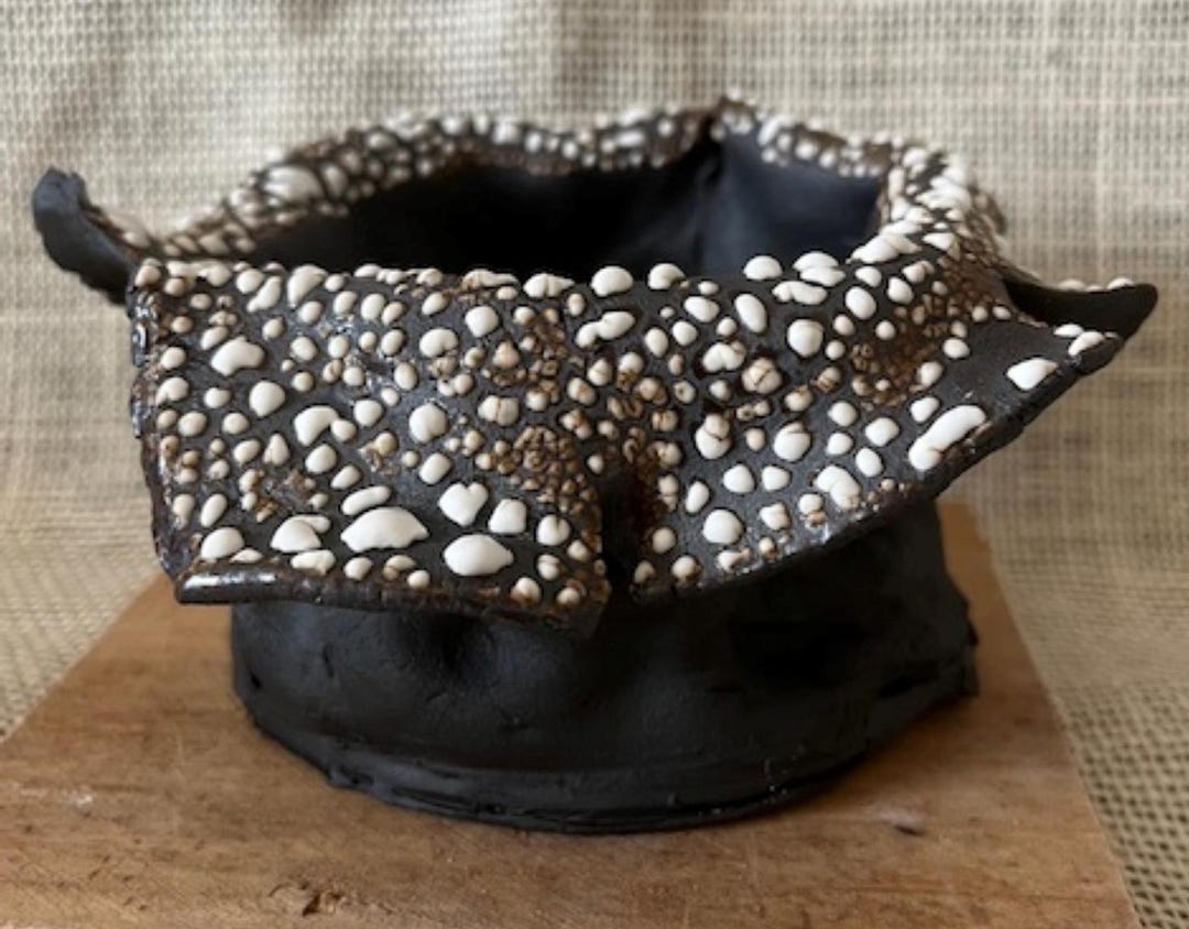 Unique Rustic Obsidian Pot With Flair Rim for Cacti, Succulents, Caudex ...