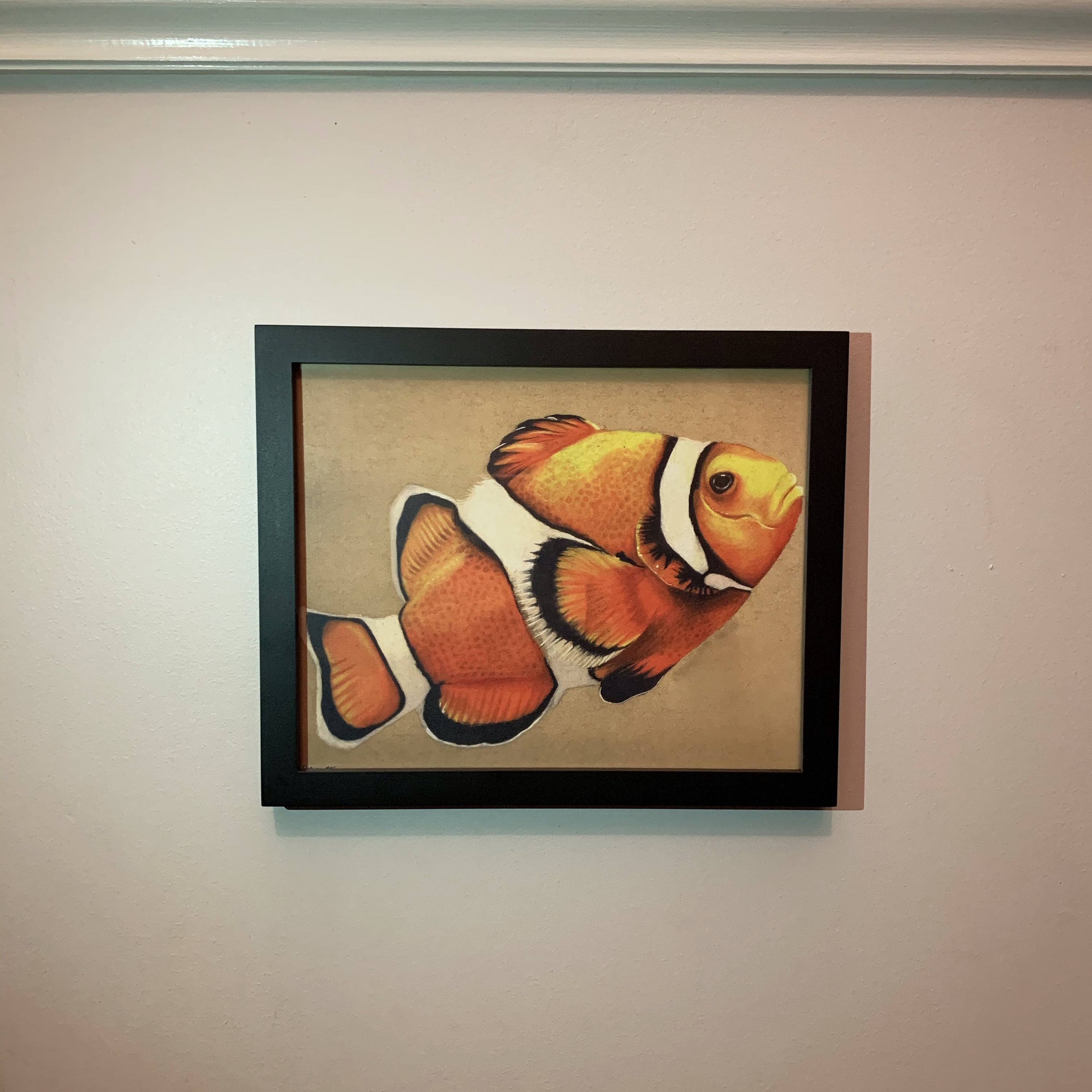 Clownfish Print 8x10 Inches, Hand Drawn Color Pencil Drawing Print ...