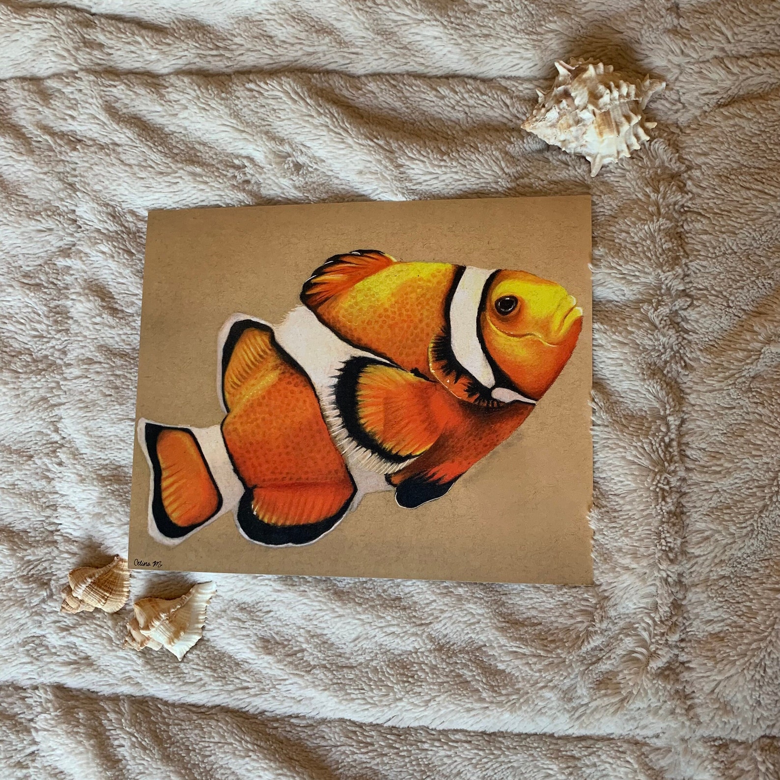 Clownfish Print 8x10 Inches, Hand Drawn Color Pencil Drawing Print ...