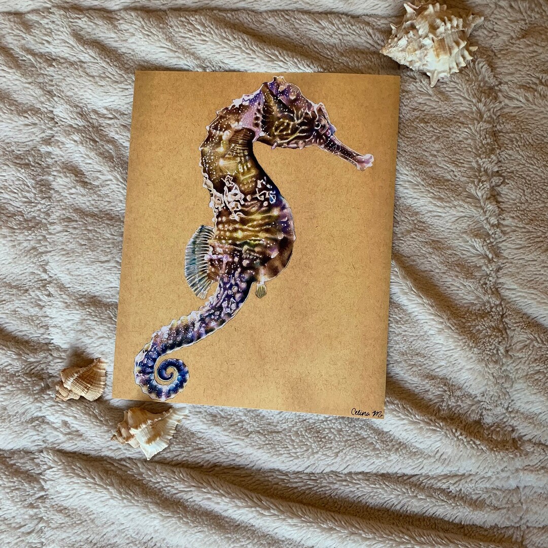 Seahorse Print, 8x10 Inches, Ocean Life Print, Hand Drawn Color Pencil ...