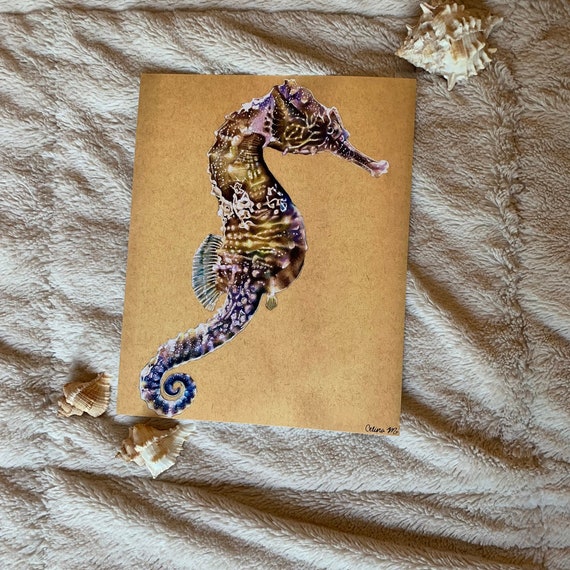 Seahorse Pencil Drawing