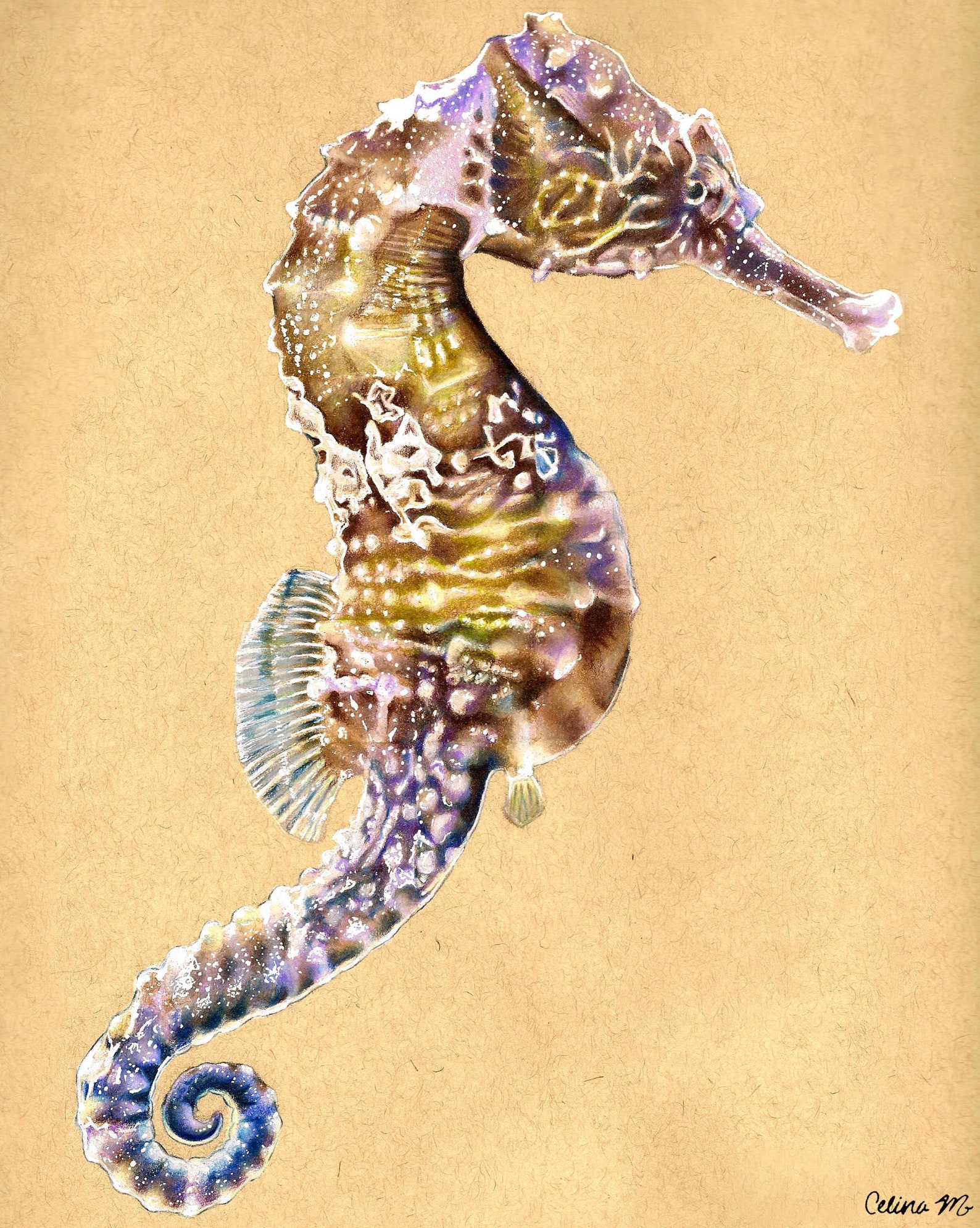 Seahorse Print, 8x10 Inches, Ocean Life Print, Hand Drawn Color Pencil ...