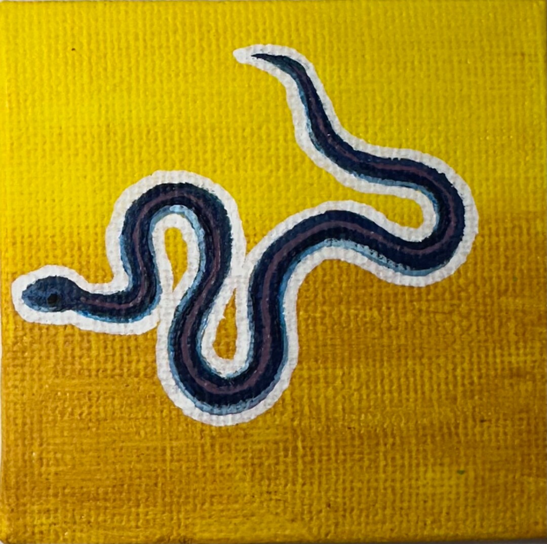 Tiny Garter Snake Painting - Etsy