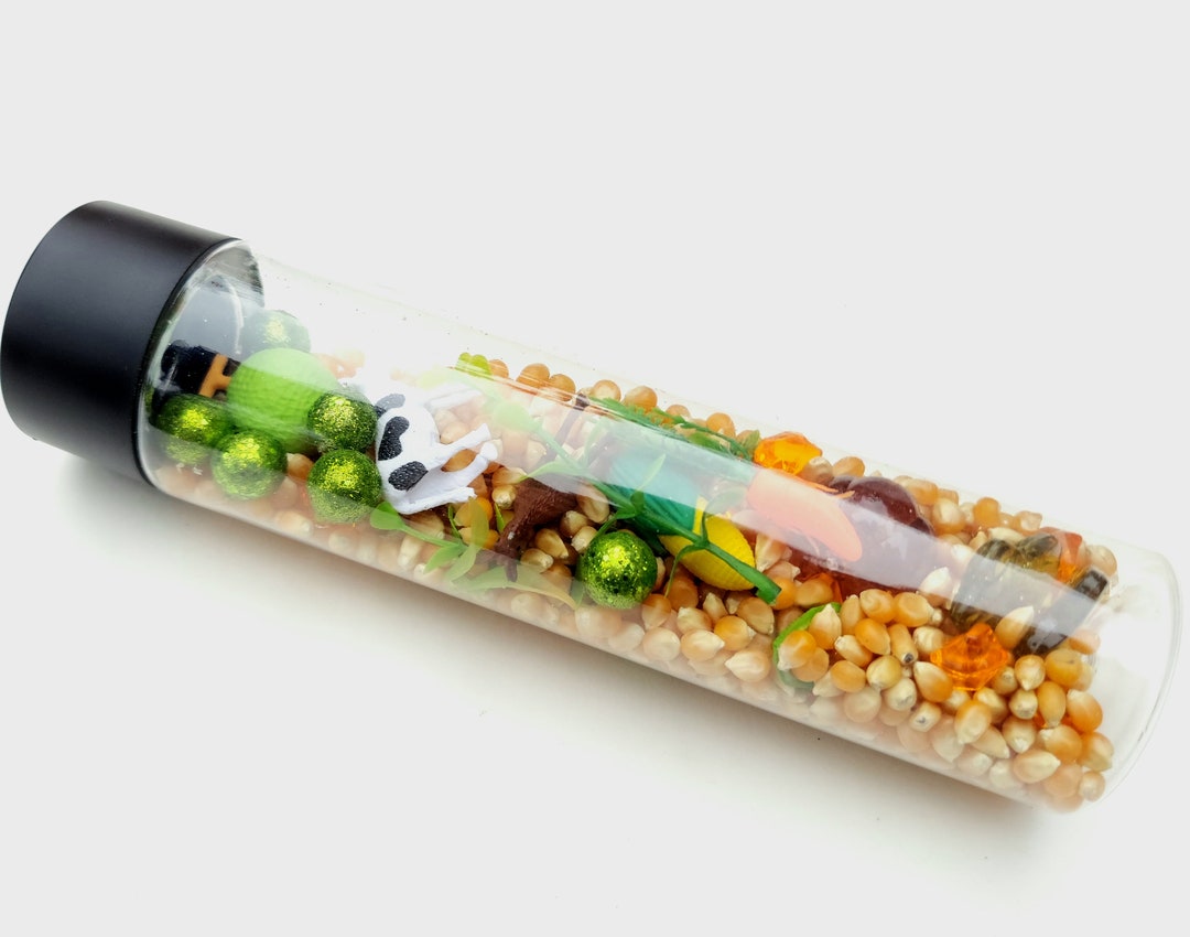 Farm Sensory Bottle, Sensory Bottle, Sensory Toys, Sensory Jars, Farm ...