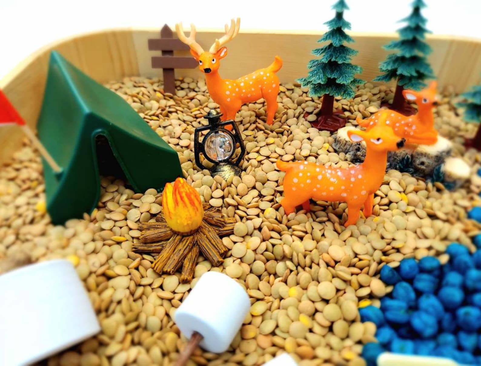 Sensory Bin, Camping Sensory Bin, Sensory Kit, Sensory Kit for Kids ...