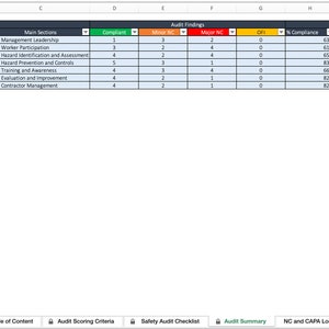 Basic Safety Auditing Tool | Health and Safety Dashboard | Excel ...