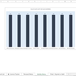 Vehicle Driving License Tracker | Health and Safety Dashboard | Excel ...