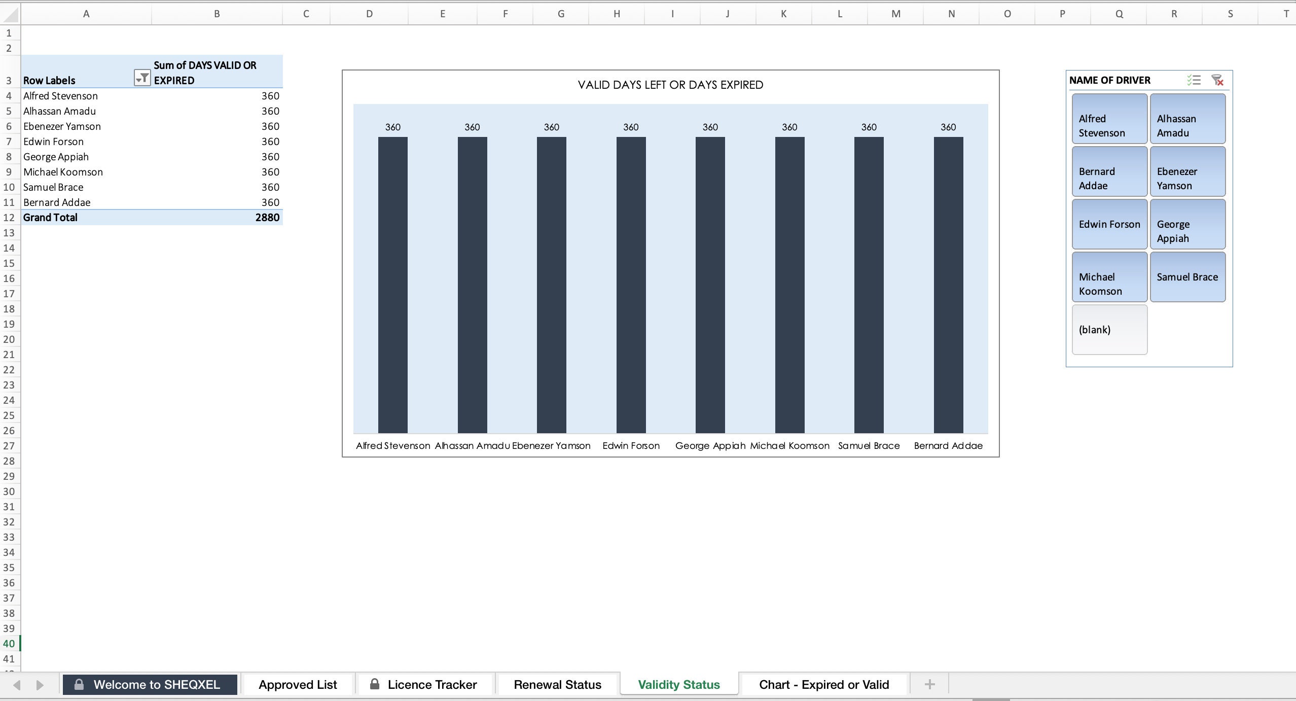 Vehicle Driving License Tracker | Health and Safety Dashboard | Excel ...