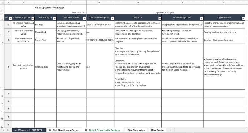 Risk and Opportunity Register | Health and Safety Template - Etsy