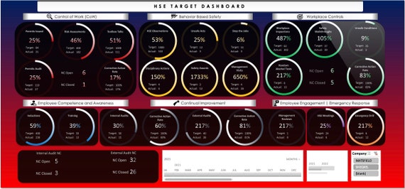 Officer Version HSE Performance Monitoring Tool Daily Data | Etsy