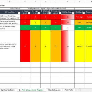 Risk and Opportunity Register Health and Safety Template - Etsy