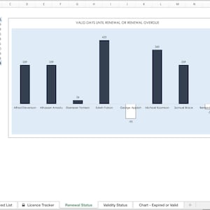 Vehicle Driving License Tracker | Health and Safety Dashboard | Excel ...