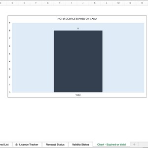 Vehicle Driving License Tracker | Health and Safety Dashboard | Excel ...