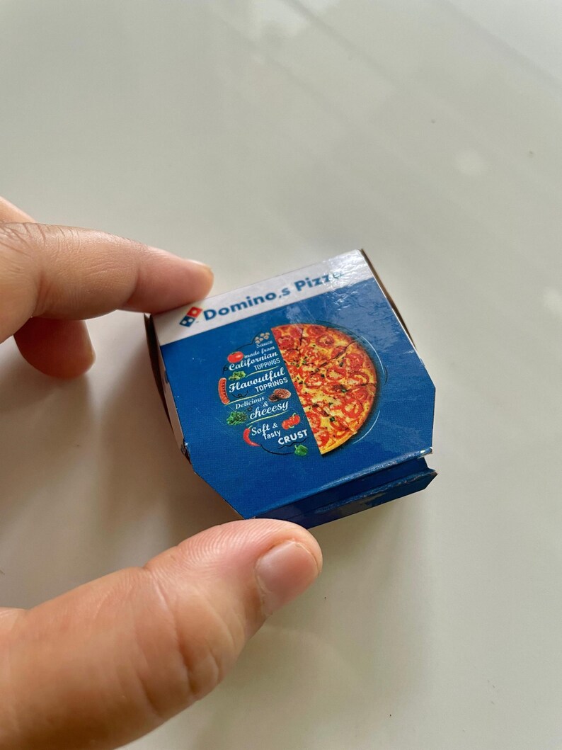Miniature Domino's Pizza Fridge Magnet, Indian Food Miniature ...