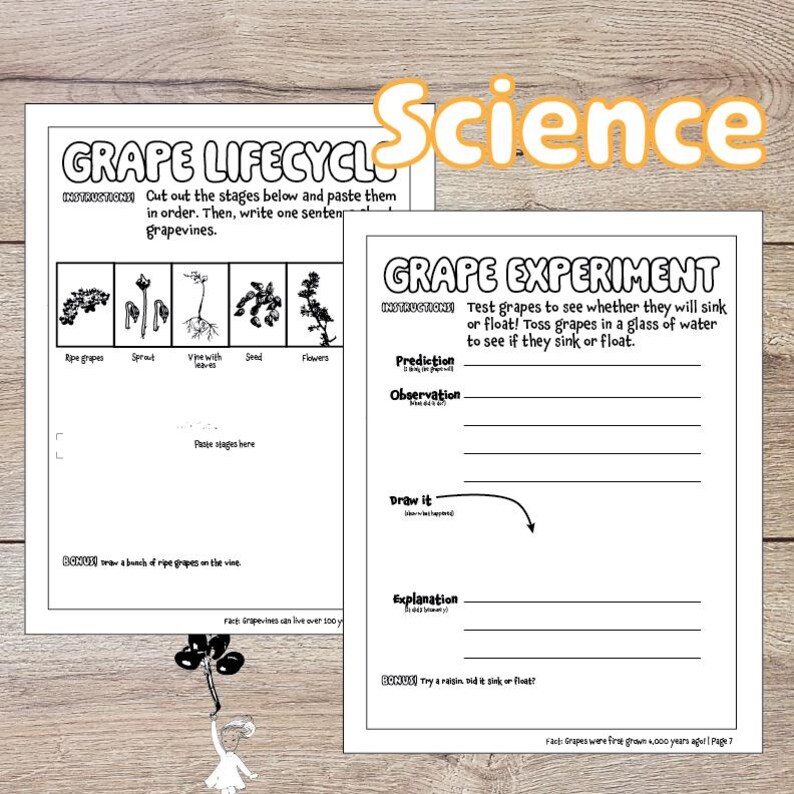 2nd Grade Worksheets About Grapes!- Second Grade Language, Writing ...