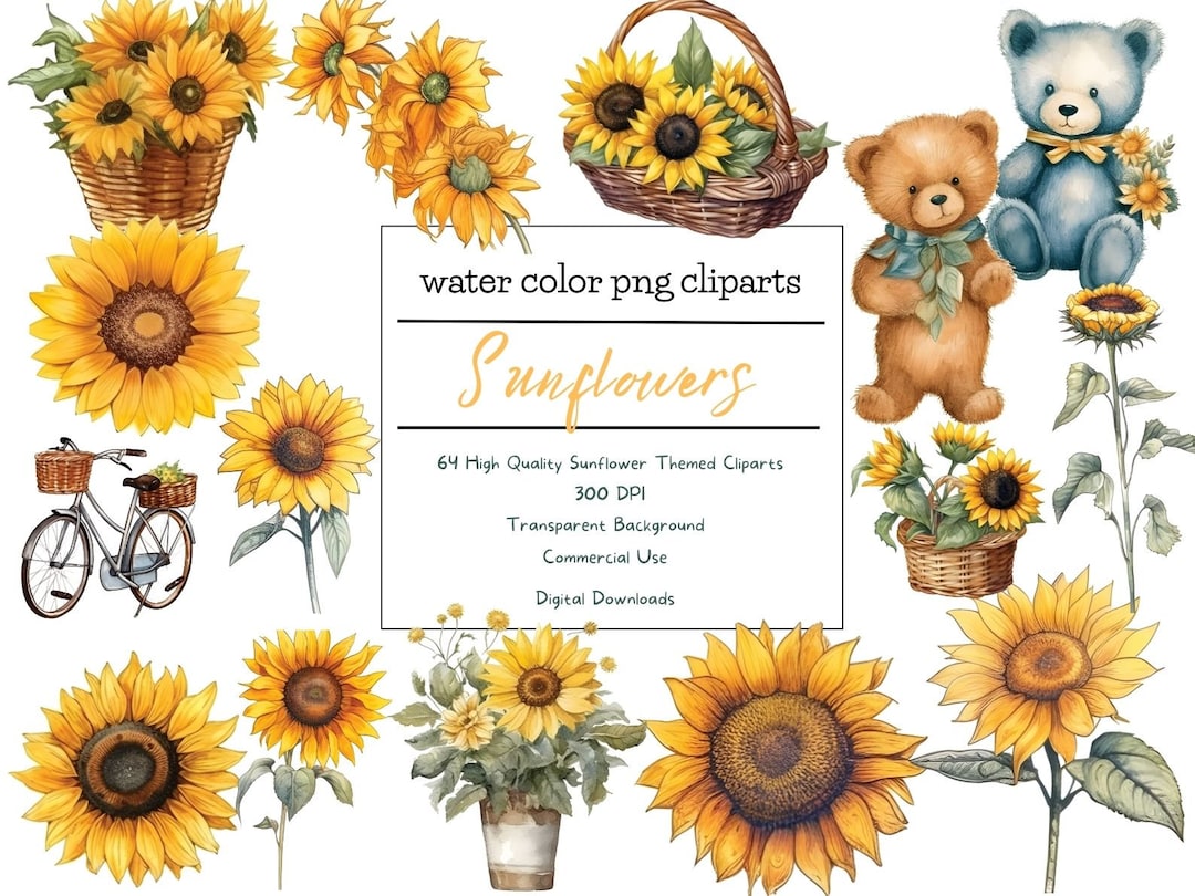 64 Sunflower PNG Clipart Bundle. - Etsy