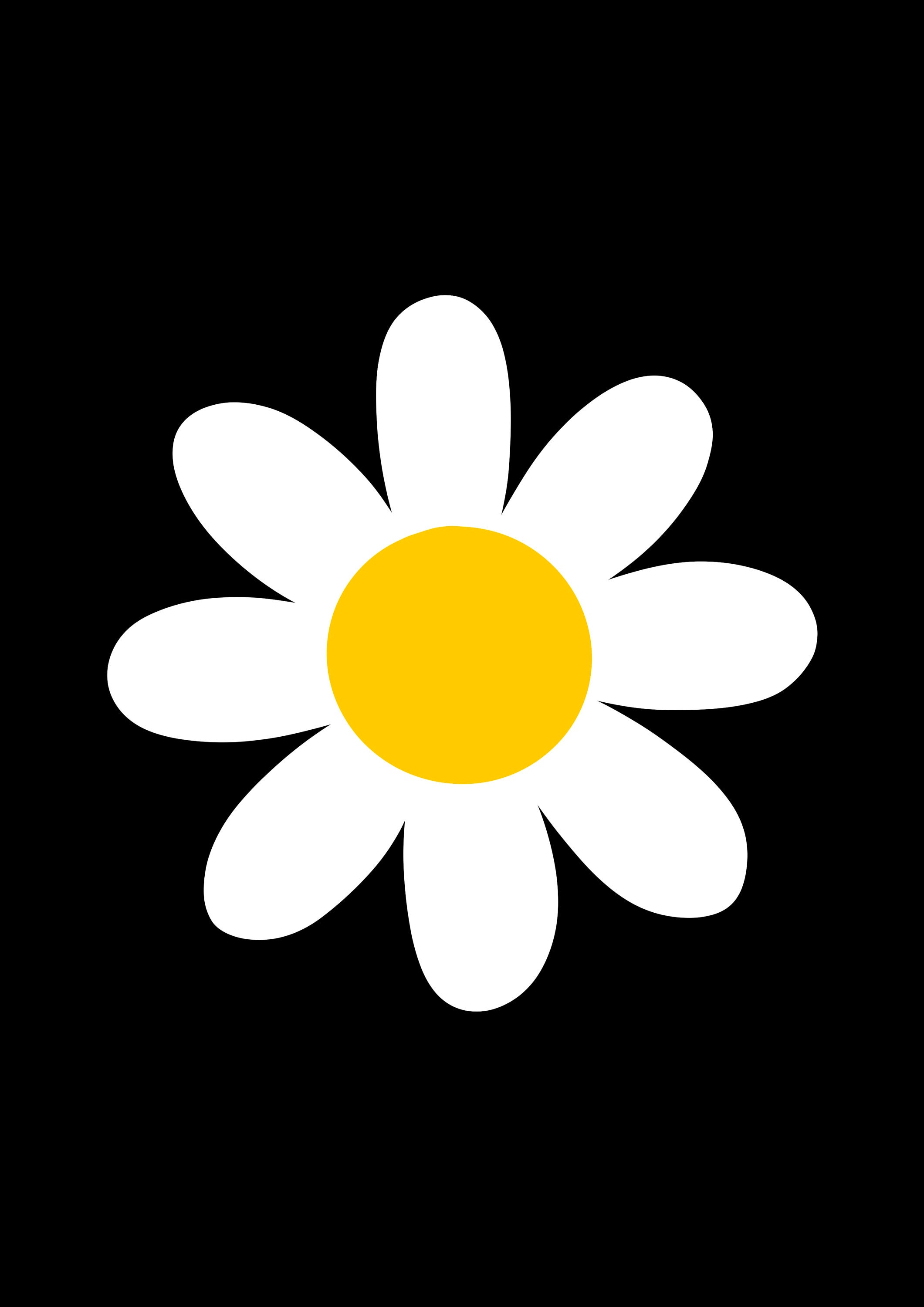 Set of 3 Daisy Prints / A4 / A3 Prints / Floral Wall Art / Daisy Print ...