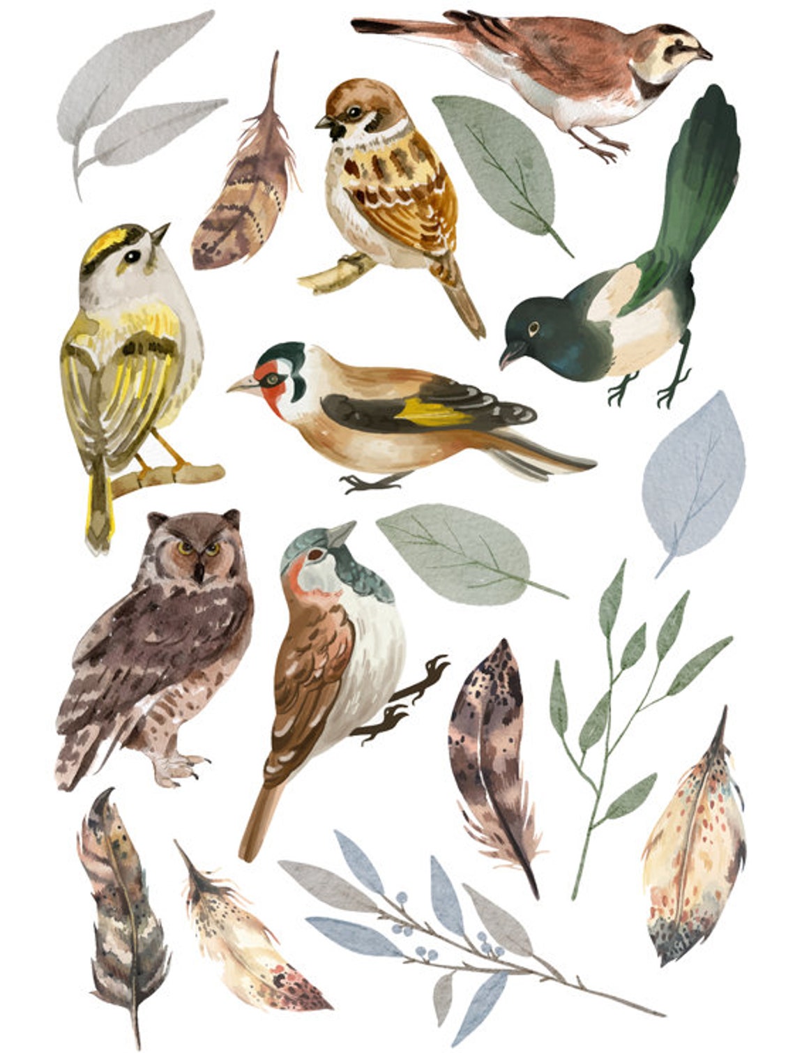 Vintage birds Cut outs Ephemera Feathers | Etsy