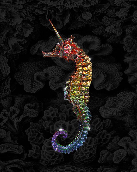 Rainbow Seahorses