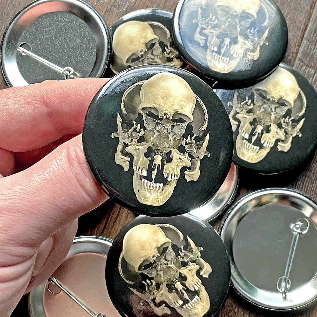 Beauchene Exploded Skull Pin Button osteology Exploded Human Bone ...