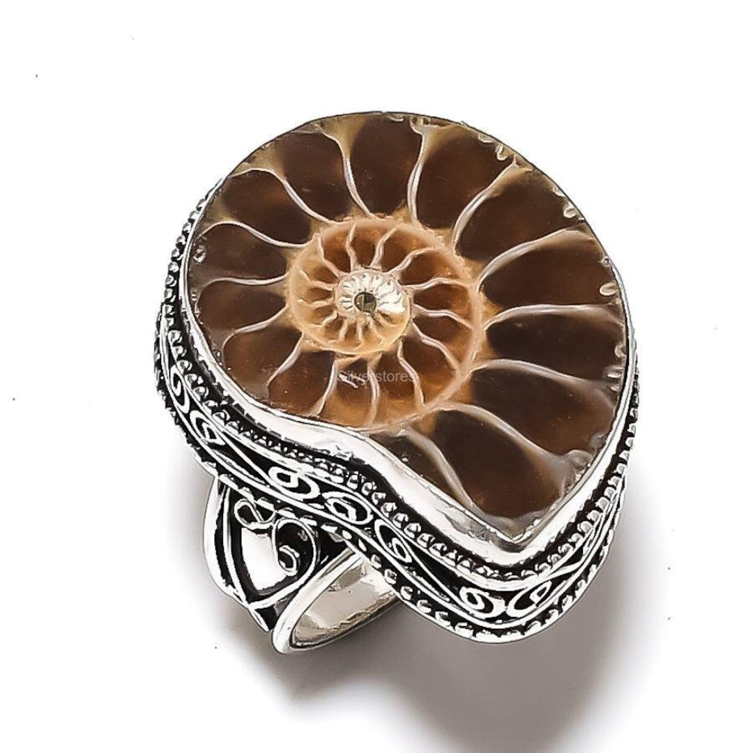 Rare Ammonite Ring, Brown Gemstone Ring, Band Ring, 925 Sterling Silver ...