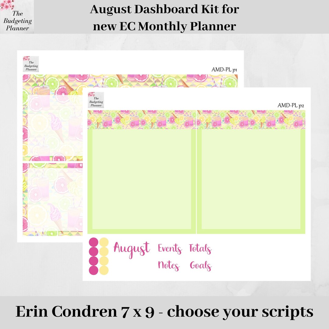 Erin Condren Dashboard Sticker Kit for August in Pink Lemonade Design ...