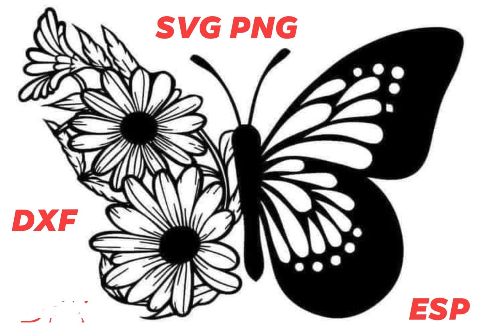 Butterfly SVG Floral Butterfly Clip Artsvg Pdf Png Dfx - Etsy