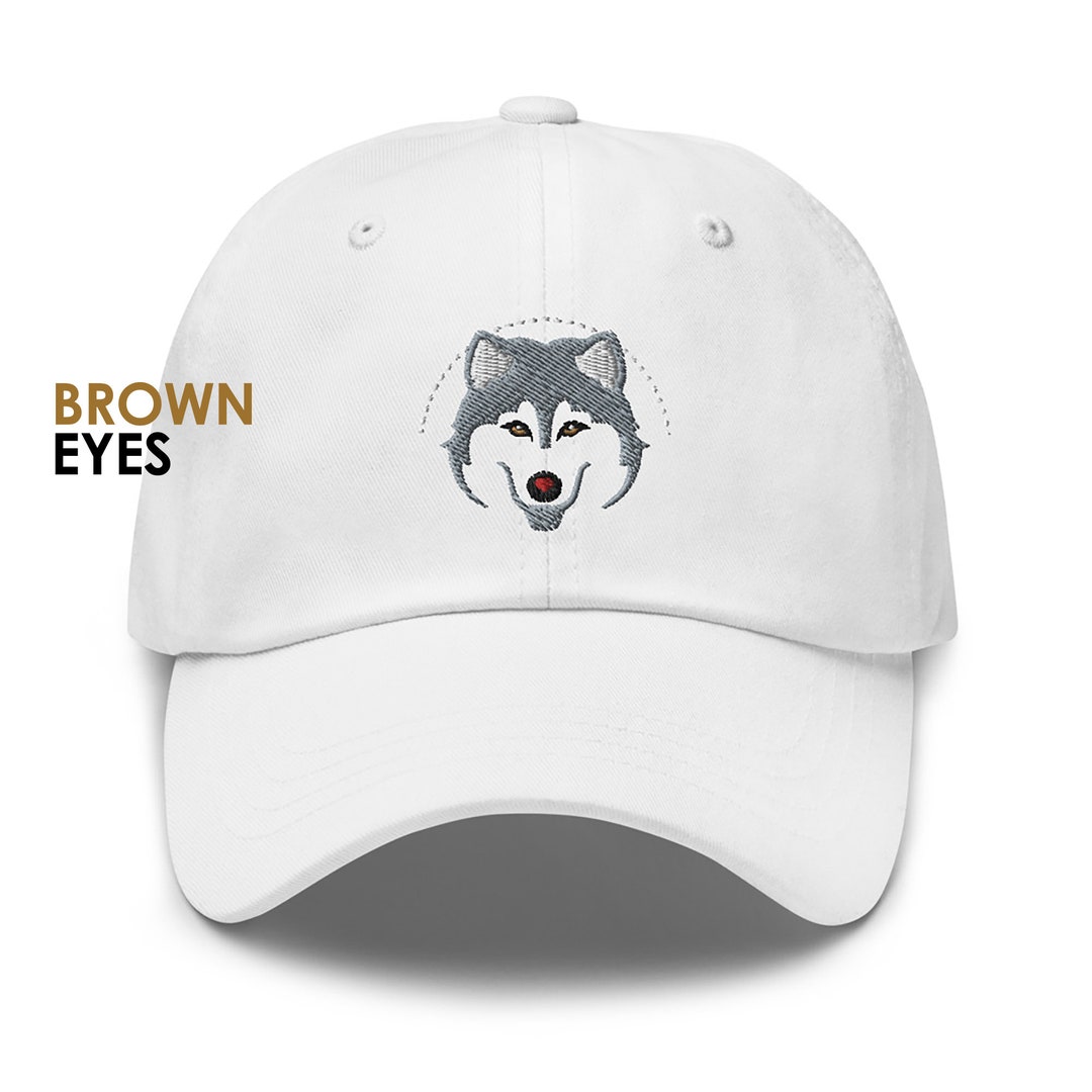 Sibirischer Husky Hut Grau/Weiß Fell, braune Augen, wunderschön ...