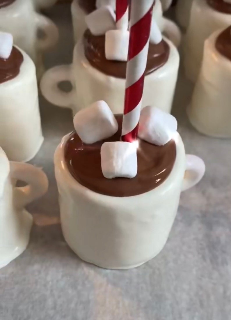 Chocolate Dipped Marshmallow Pops: Cocoa Holiday Treats - Etsy