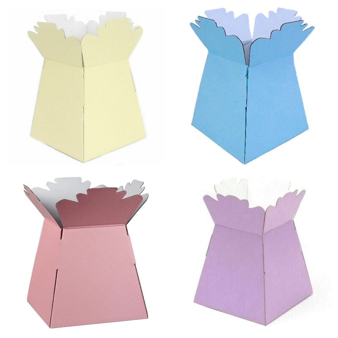 Living Vases Florist Bouquet Box Flower Plant Aqua Sweet Boxes Many ...