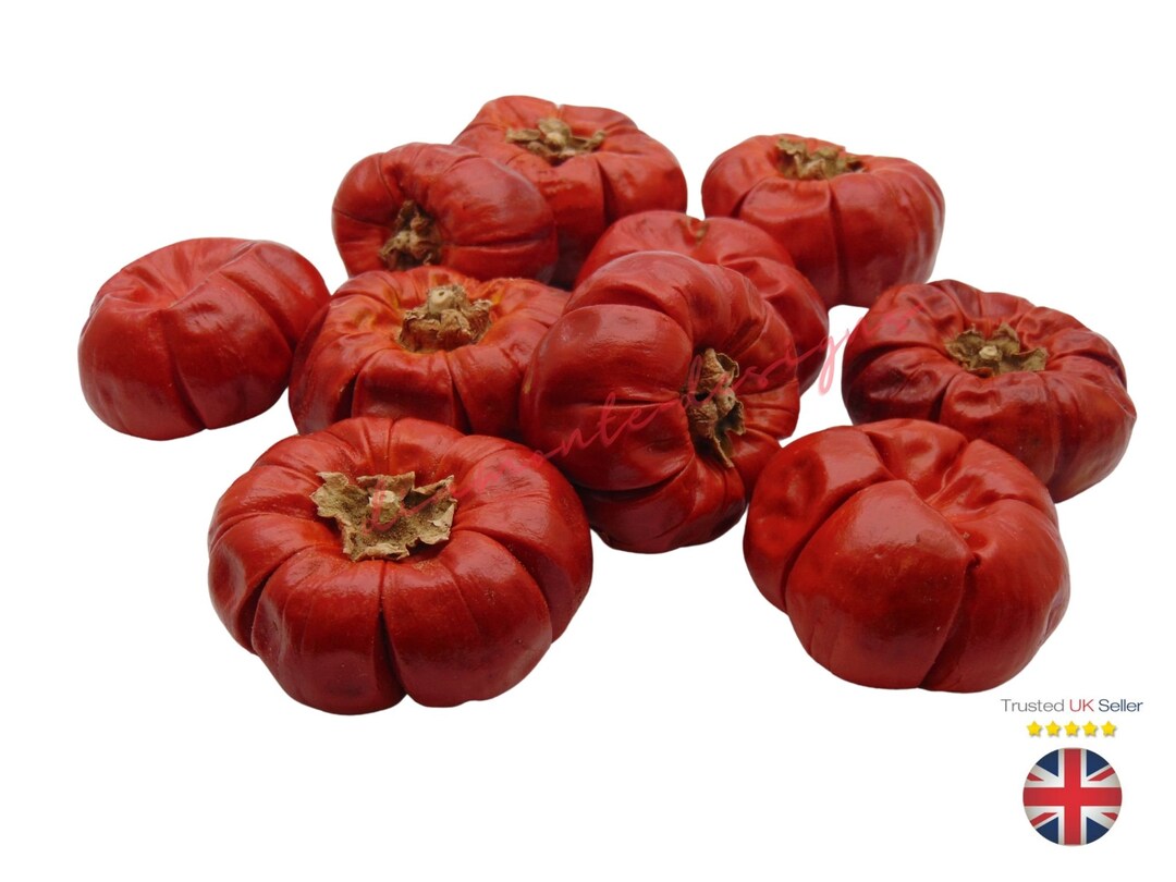 Dried Mini Pumpkins Christmas Halloween Craft Wreath Florist Decoration ...