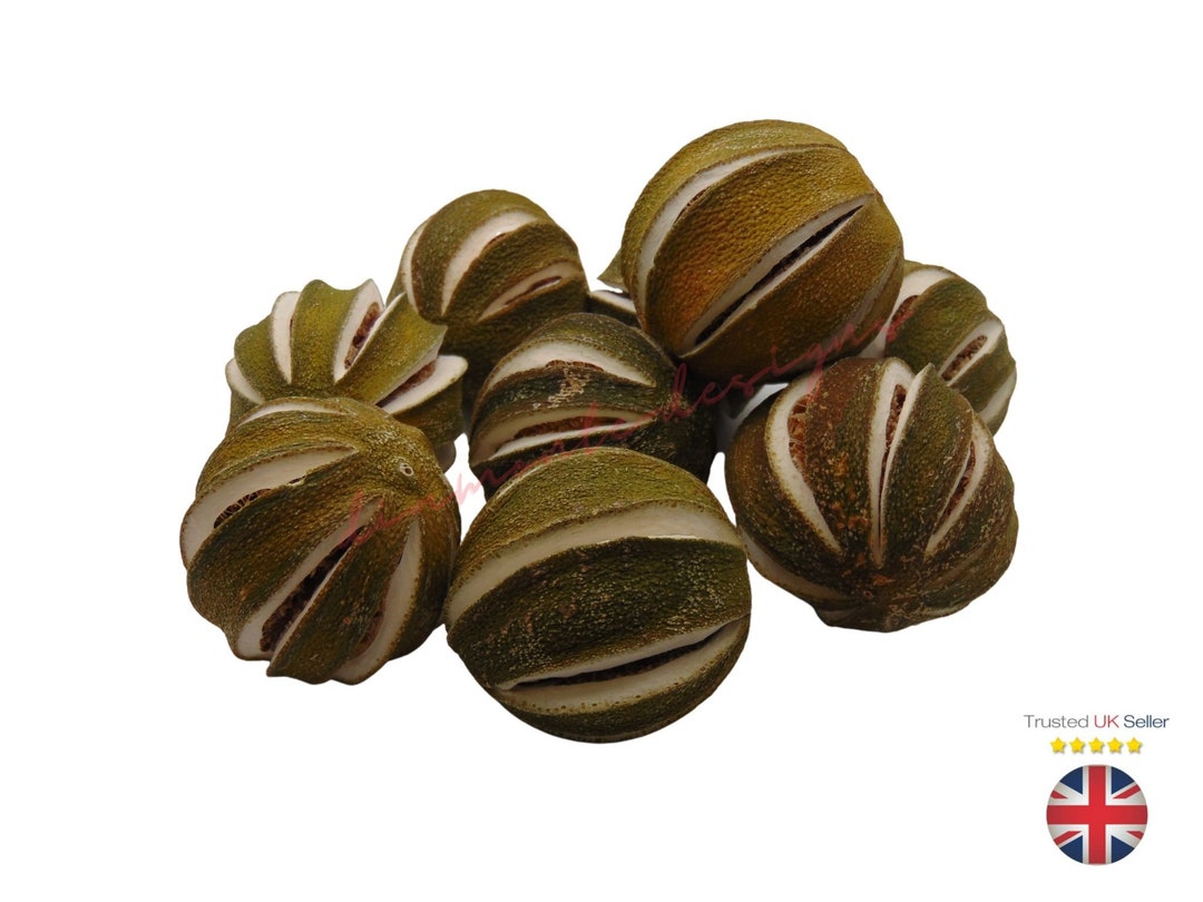 Dried Split Whole Limes Lime Fruit Christmas Craft Wreath Florist ...