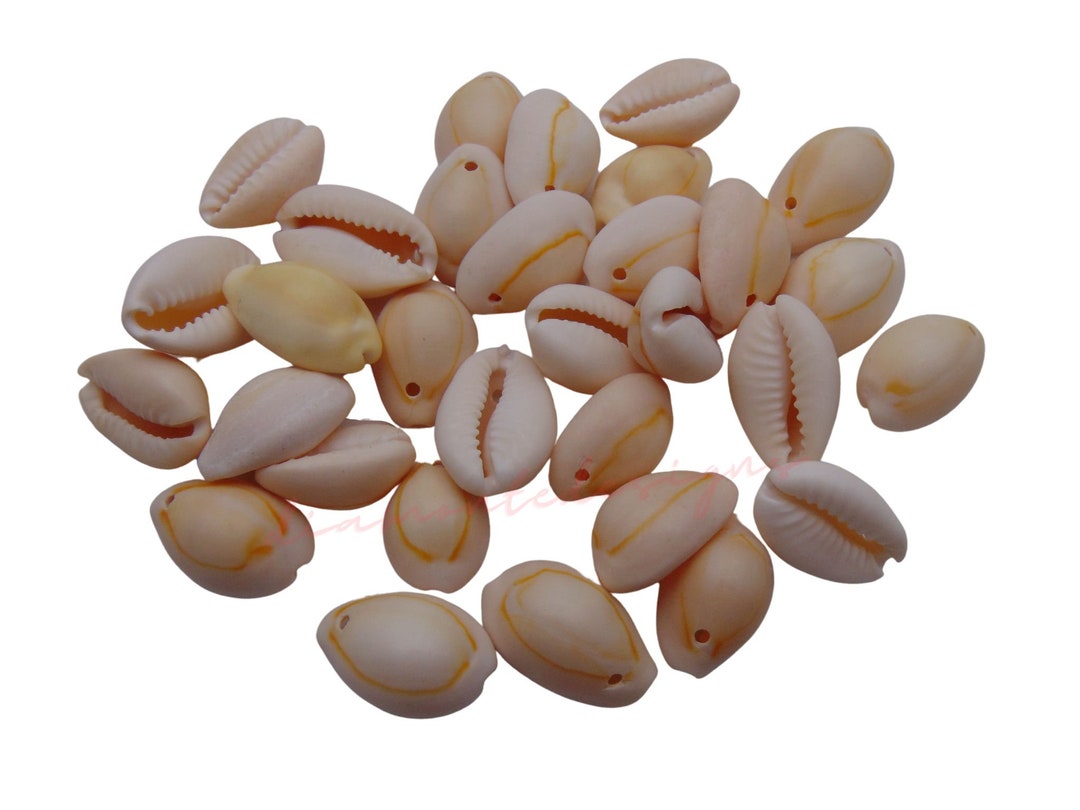 20 Pcs Natural Ivory Colour Polished Cowrie Shell Beads Beach Jewellery ...